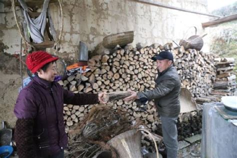 柴排第10页大山谷图库