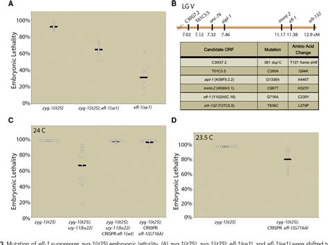 Figure 1 From The E2f Dp1 Transcription Factor Complex Regulates