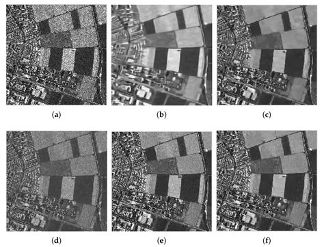 a boosting sar image despeckling method based on non local weighted