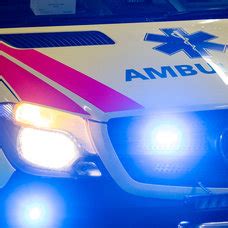 Svensk Kvinna Brukade Ha Sex Med Hundar F R Nd Vara Hundvakt