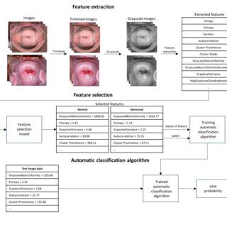 Pdf Classification Of Cervical Cancer Using Deep Learning And Machine Learning Approach