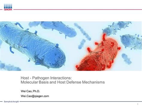 Host Pathogen Interactions Molecular Basis And Host Defense Pathogen Detection Webinar Series