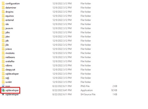SQL Developer A Complete Guide