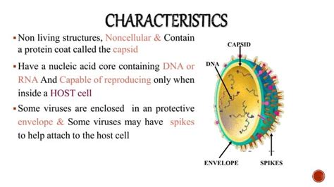 Topic Virus And Their Structure Classification Replication And Cultivation Pdf Biological