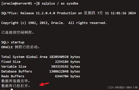 Linux环境下oracle 11g的离线安装与配置历程linux离线安装oracle11g Csdn博客