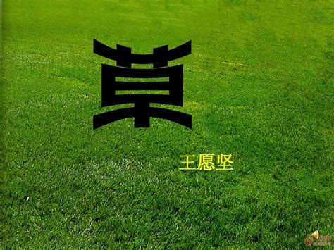4草word文档在线阅读与下载无忧文档