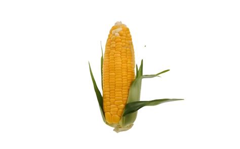 Corn Kernel Detail Psd High Quality Free Psd Templates For Download