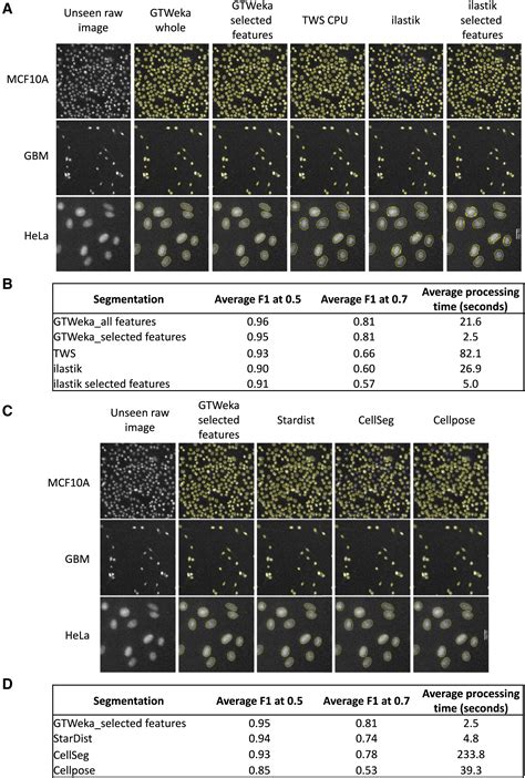Instant Processing Of Large Scale Image Data With FACT A Real Time Cell Segmentation And