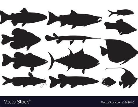 Fish Royalty Free Vector Image VectorStock