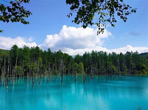 홋카이도 5월 3박 4일 추천 자유여행코스 대중교통 이용~ 네이버 블로그