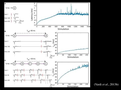Ppt A Computational Paradigm For Dynamic Logic Gates In Neuronal Activity Powerpoint