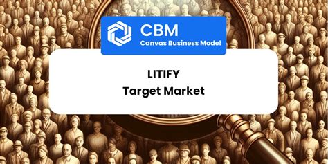 Customer Demographics And Target Market Of Litify