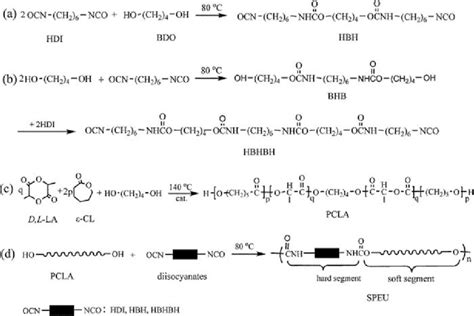 Scheme 1 Synthetic Pathways Of A Hbh B Hbhbh C Pcla And D Download Scientific