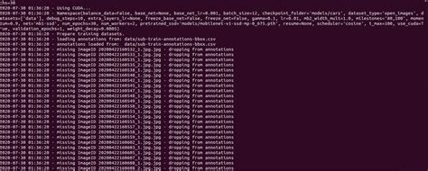 Error While Trying To Train Issue Philliec Pytorch Ssd For Marine Objects Jp