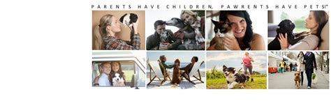 Картины по Номерам Раскраски с доставкой по Казани и по всей России Цена 750 рублей Арт