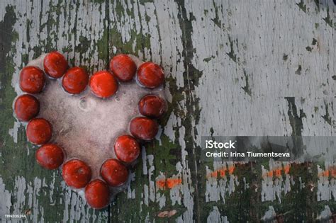 하얀 오래된 배경에 체리에서 얼음 마음 공유되지 않는 사랑의 개념 2월에 대한 스톡 사진 및 기타 이미지 2월 감정 개념 Istock