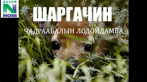 Өгүүллэг зохиолч Ч Лодойдамба ШАРГАЧИН Shargachin Ch