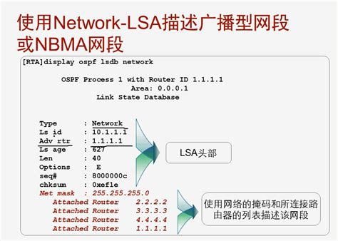ospf路由协议详解 csdn博客