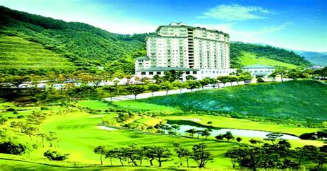 엘리시안강촌리조트 특별회원 모집