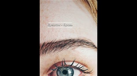 Изучаем части лица на английском Youtube