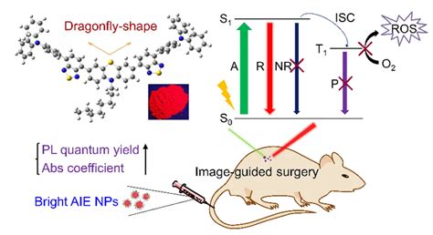 科研用 二氧化硅纳米材料荧光aie分子 正电荷aie染料纳米粒子 近红外光调控aie纳米粒子 知乎