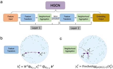 Architecture Of The Hgcn Model A Visualization Of The Two Layers Of