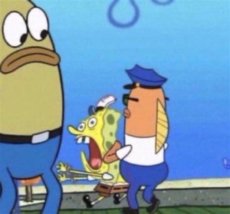 900 Spongebob Out Of Context Ideas In 2025 Spongebob Spongebob Funny Spongebob Memes