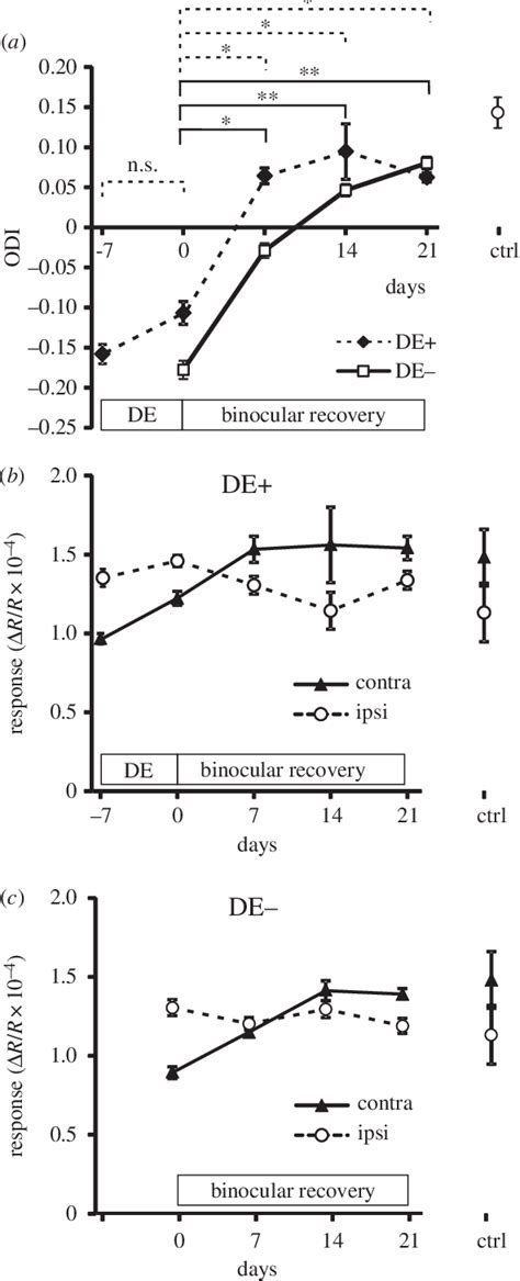 Figure 2 From Enhancement Of Visual Cortex Plasticity By Dark Exposure