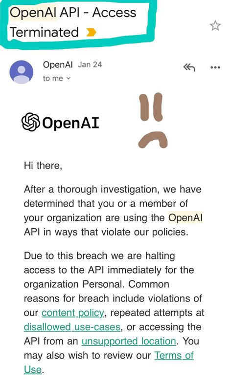 how many of you got an email “openai api access terminated” and if