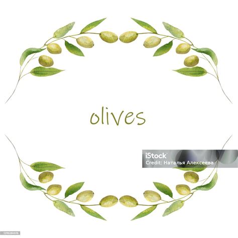 수채화 손 그린 자연 테두리 프레임 녹색 올리브 식물과 잎 에 뭇 가지 꽃다발 에 초대 및 올리브 텍스트와 인사말 카드 경계에