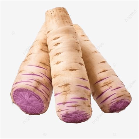 Png 파일 형식의 클리핑 경로를 사용하여 격리된 스택의 신선한 타로 뿌리 3개 건강 사진관 클리핑 경로 Png 일러스트 및 이미지 에 대한 무료 다운로드 Pngtree