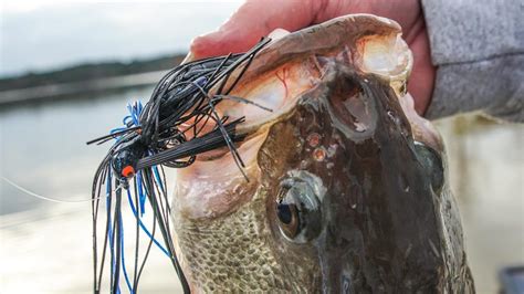 5 Must Know Jig Fishing Tips For Prespawn Bass Wired2fish