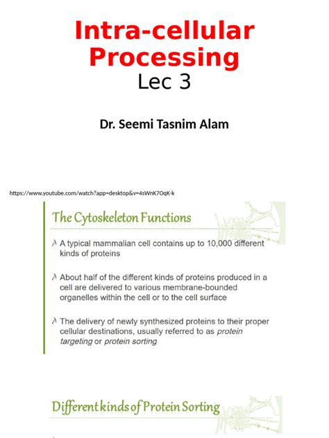 Lec 3 Intracellular Processing Final Pdf