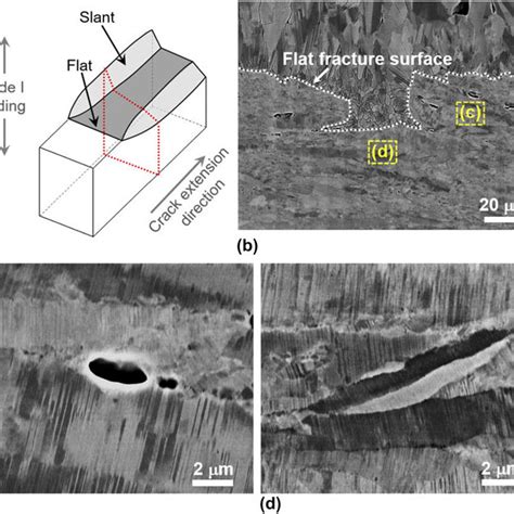 A The Illustration Of The Fracture Surface For Thick Specimens In Download Scientific