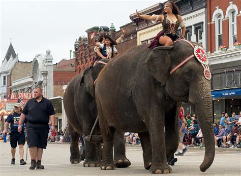 The Elephant Parade