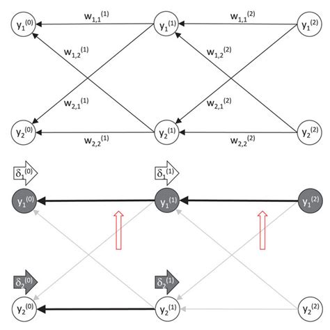 Backpropagation Algorithm A Architecture Of An Ann Circles Denote Download Scientific