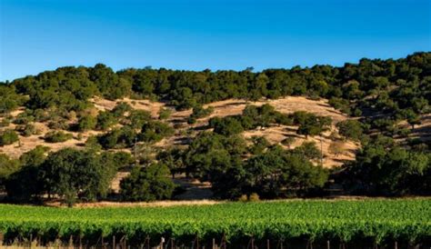 Безкоштовна картинка Пшениця сільське господарство ферми краєвид Сфера небо сільські