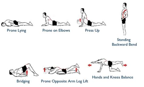 Extension Preference Exercises At Jennifer Carranza Blog