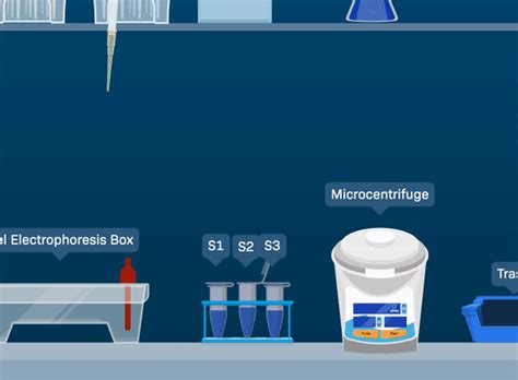 Virtual Lab Simulations