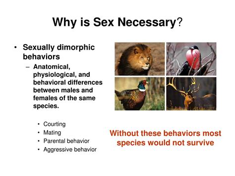 PPT COGNITIVE SCIENCE Why Sex Is Necessary Part Jaime A Pineda Ph D PowerPoint