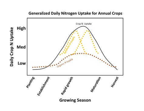 The Benefits Of Combining Organic And Synthetic Nitrogen Sources