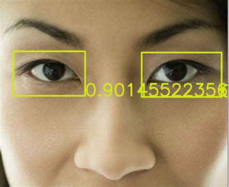 Pbtxt Work Well In Python But Show Nothing In C Issue Opencv Opencv Github