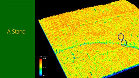 what is plot imputation and how do you generate forest yield tables