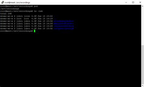 Installing Jitsi And Jibri On Same Machine Bots
