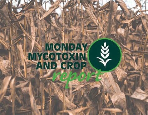 Neogen Corporation On Linkedin Monday Mycotoxin And Crop Report For March 25 2024