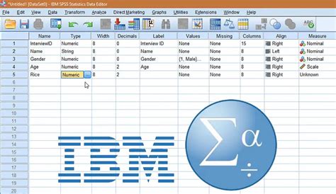Spss值标签怎么添加 Spss值标签怎么设置大于范围 Ibm Spss Statistics 中文网站