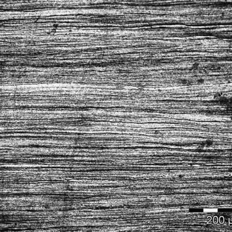 Typical Fibrous Microstructure Of 90 Cold Rolled Specimen In Through Download Scientific