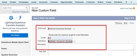 Salesforce Encrypted Field