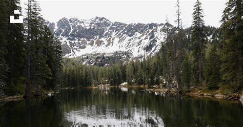 나무와 눈 덮인 산으로 둘러싸인 호수 사진 Unsplash의 무료 눈 이미지