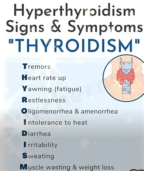 Hyperthyroidism Means Overactive Thyroid Gland With Overproduction Of Thyroid Hormone In Body